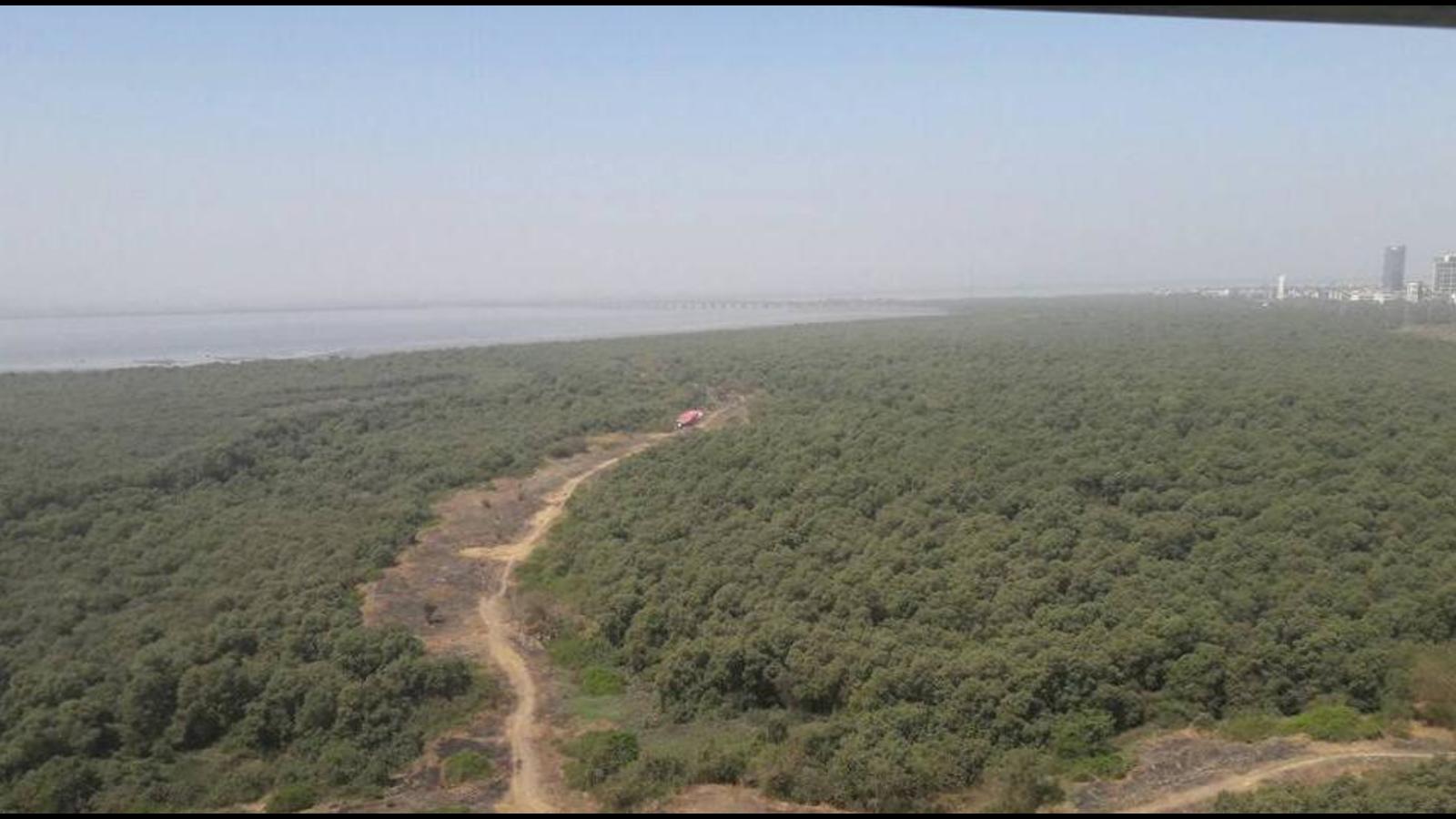 Maha forest dept extends scheme linked to sustainable use of mangrove ...