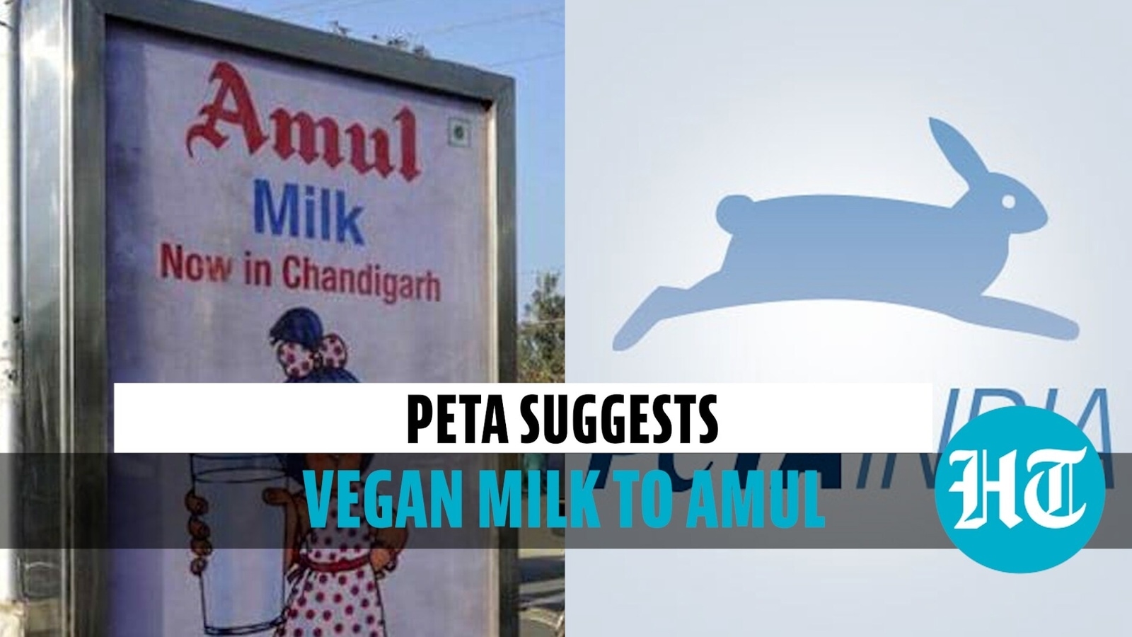 PETA, Amul argue over switching to vegan milk: Know what happened ...