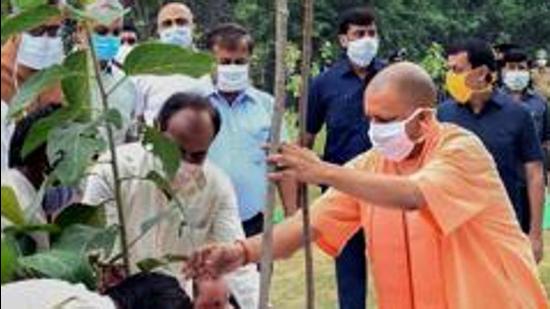 UP targets 30 crore saplings in this year’s plantation drive ...