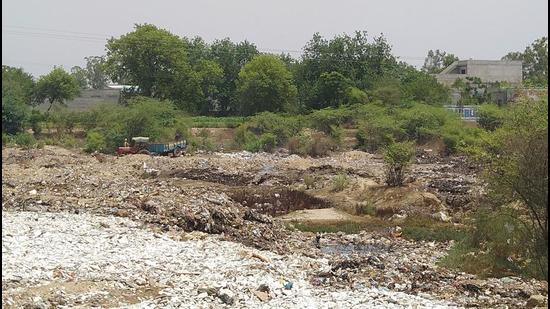 Moga MC dumping untreated solid waste into 2 water bodies | Hindustan Times