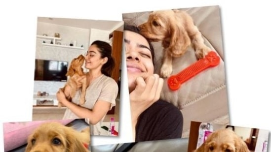 Rashmika Mandanna writes heartfelt post about her pet dog Aura: 'I ...