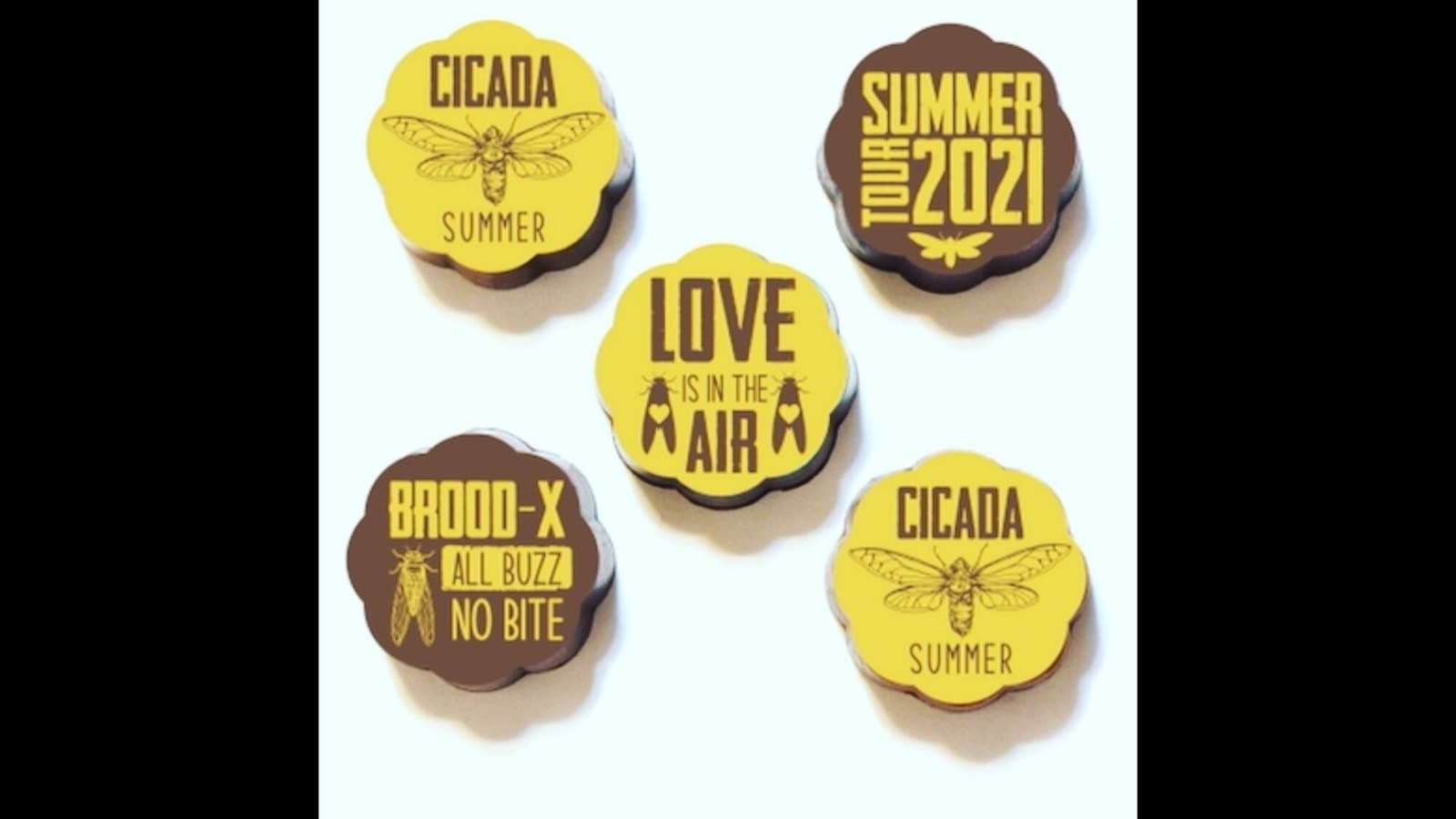 This eatery in Maryland sells chocolate-covered cicadas. Watch ...