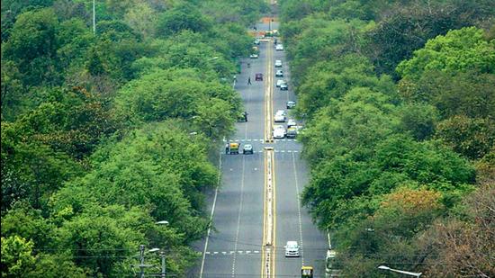 Forest cover in Punjab’s Moga to go up to 5% in 5 years | Hindustan Times