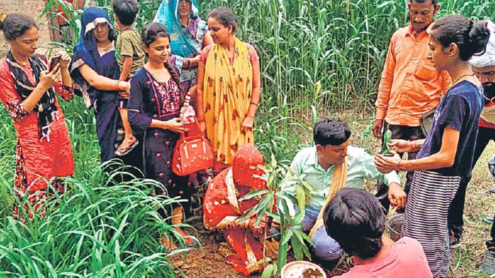 Newlyweds in this UP village have to plant a tree and nurture it as ...