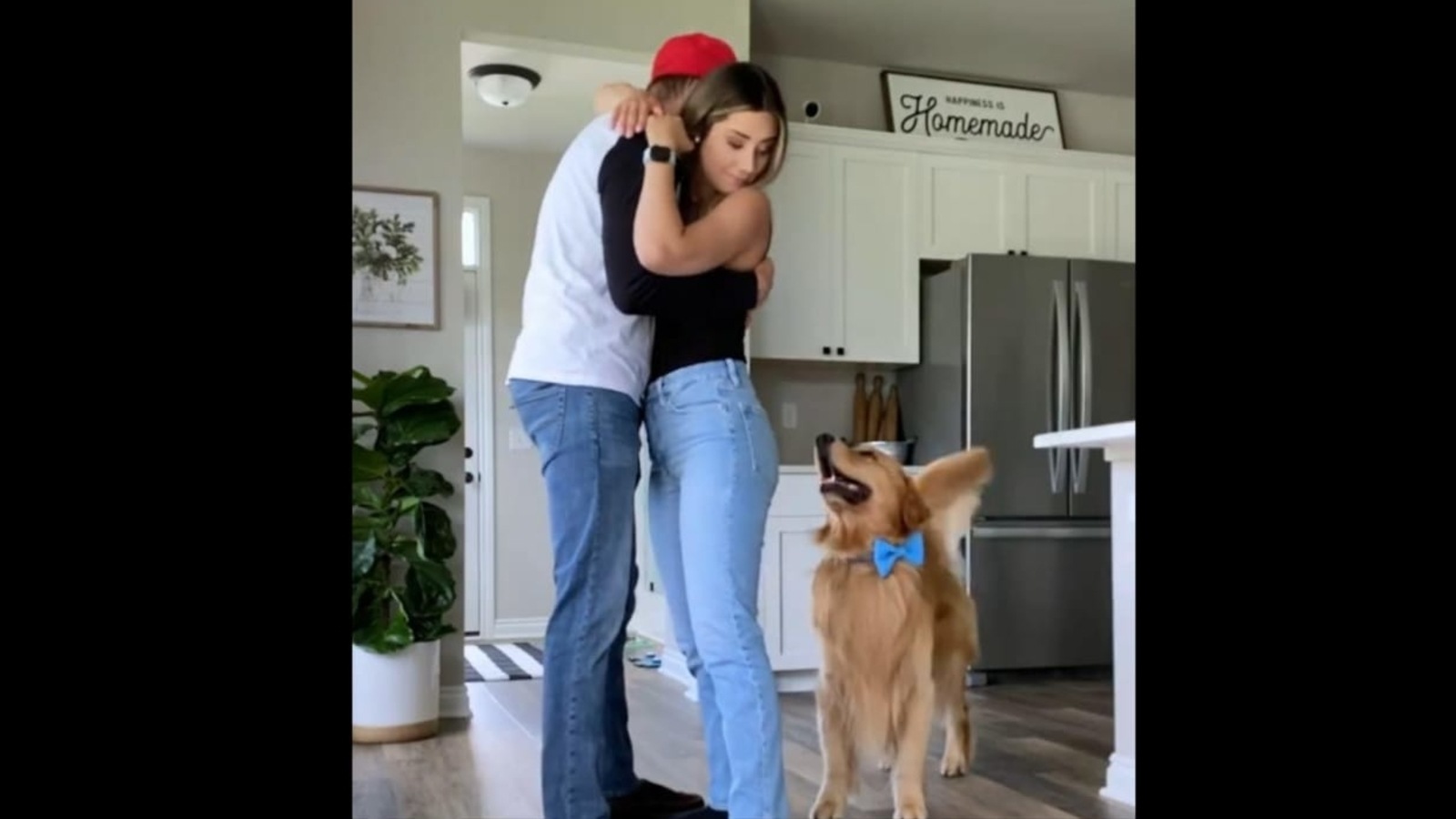 Doggo sees mom hug dad, his reaction leaves netizens in splits ...