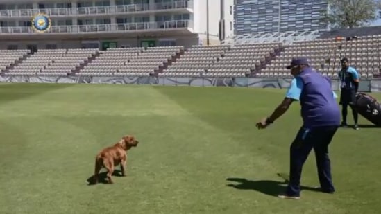 Ravi Shastri plays with doggo ‘buddy’ Winston, people love the viral ...