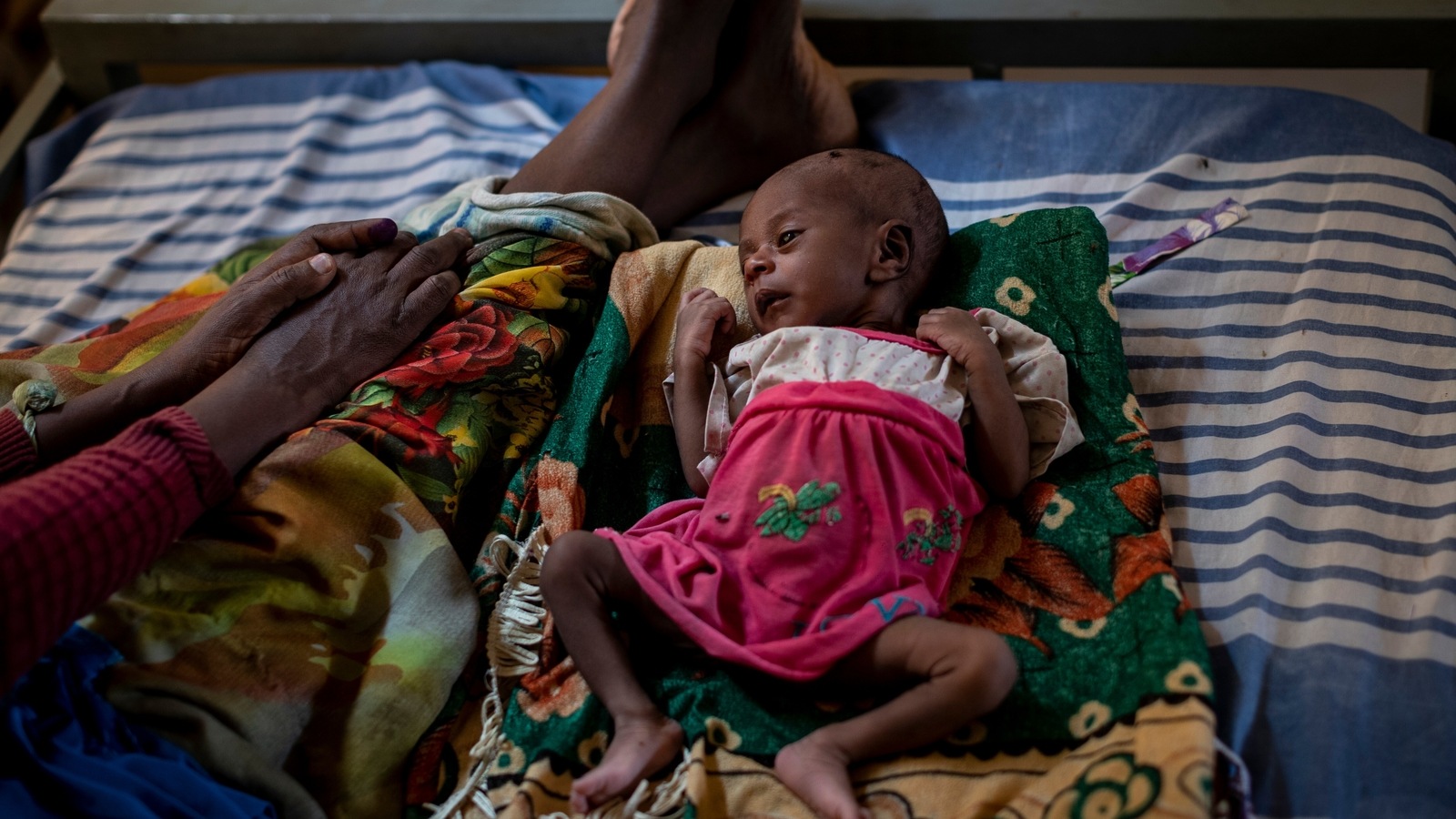 41 million face risk of famine, UN bids to avert crisis | World News