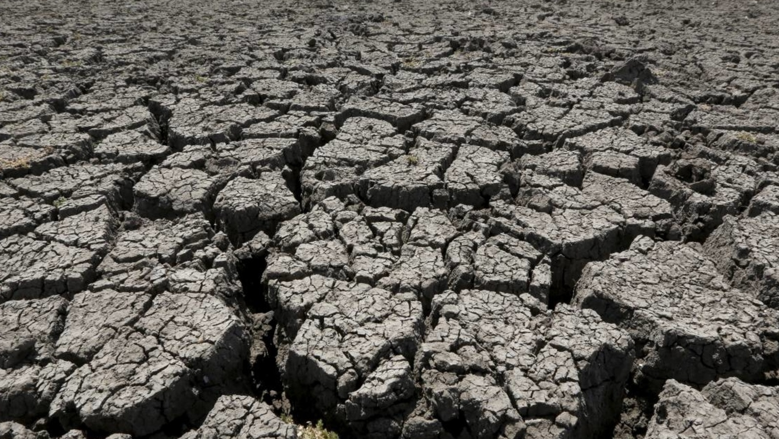 Hunger, drought, disease: UN climate report reveals dire health threats ...