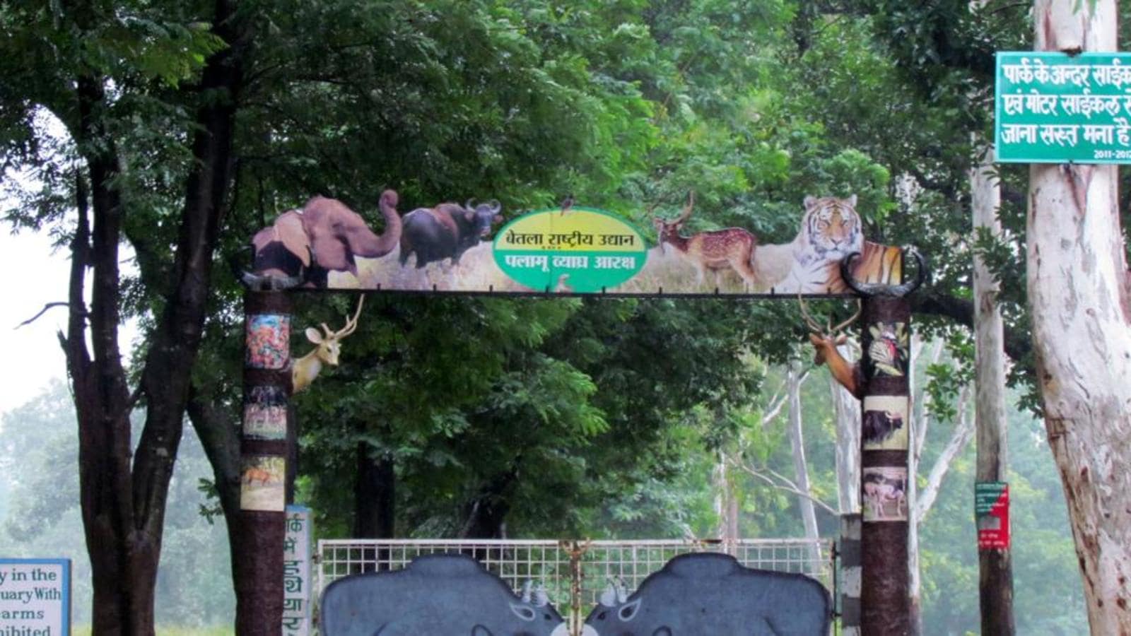 Darkest site in the country Palamu Tiger Reserve set to begin ...