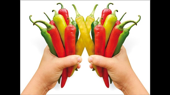 Rude Food by Vir Sanghvi: Red hot chilli peppers - Hindustan Times