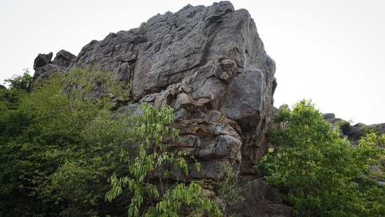 Photos: Palaeolithic cave paintings found in the Aravallis | Hindustan ...