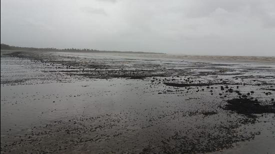 Maharashtra: Pollution from tarballs needs urgent attention, say ...