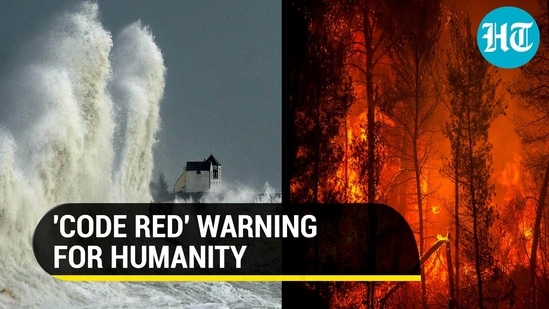 Climate Crisis: Get Latest News, Photos and Videos along with latest ...