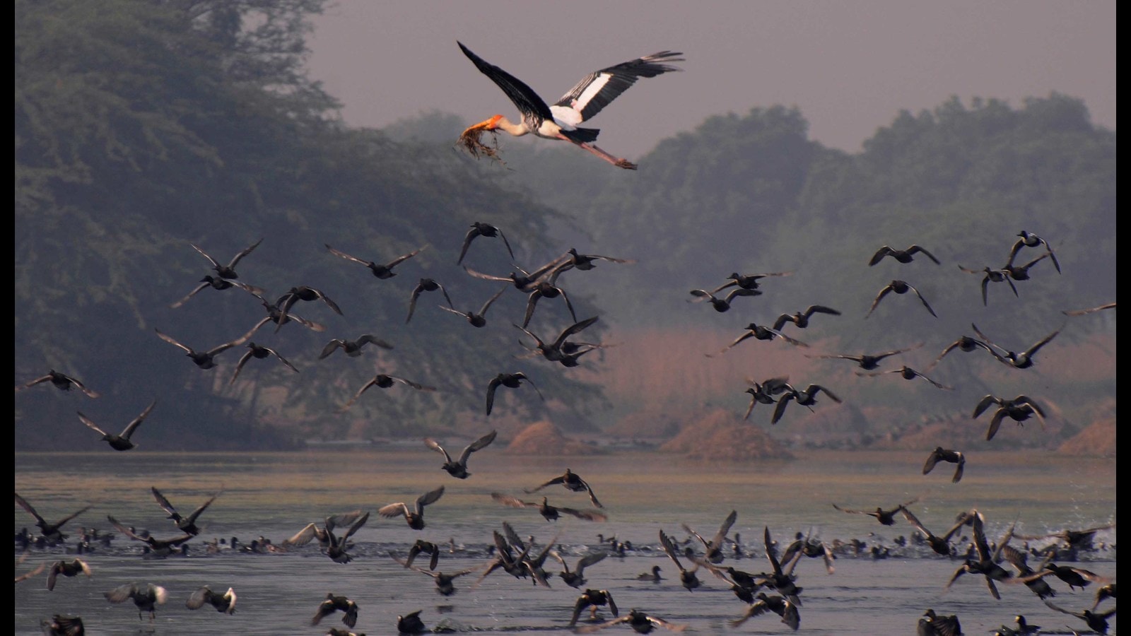 Four new Ramsar wetland sites recognised in India | Latest News India
