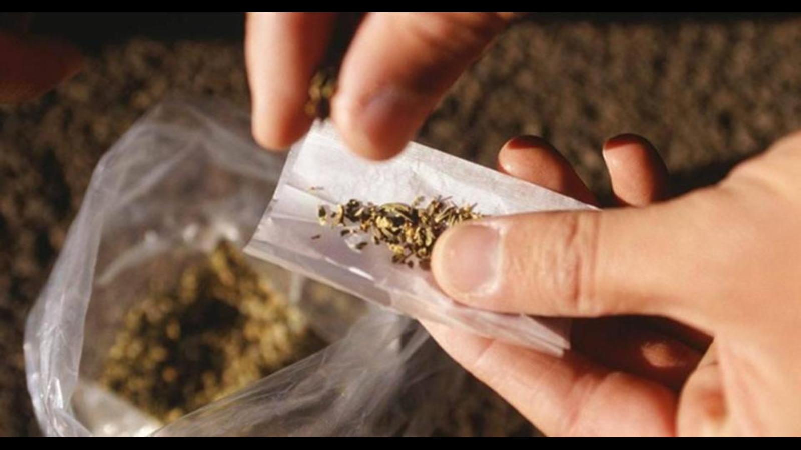 Ncb Seizes 24kg Charas In Pathankot Three Held Hindustan Times