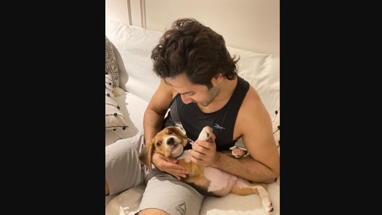 Varun Dhawan to Priyanka Chopra, celebs who love showing off their pet ...