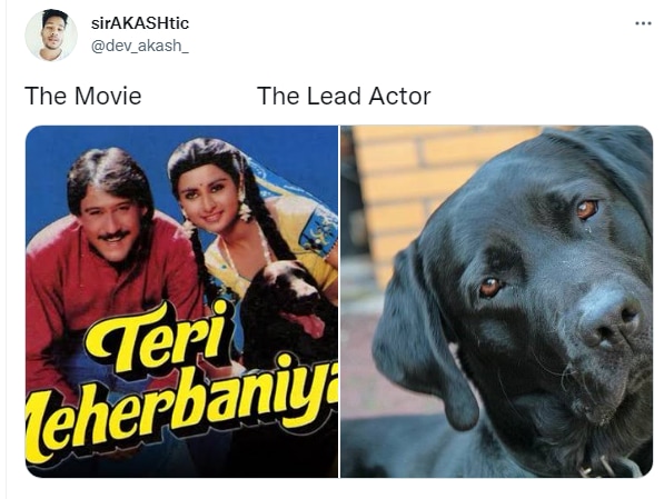 Bagwati in ZNMD to Jal in Vivah, tweeple describe 'lead actor' of ...