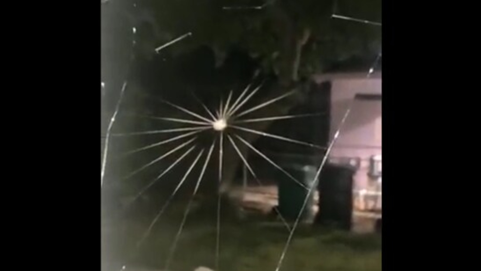 Video of spider weaving a web is oddly satisfying to watch | Trending