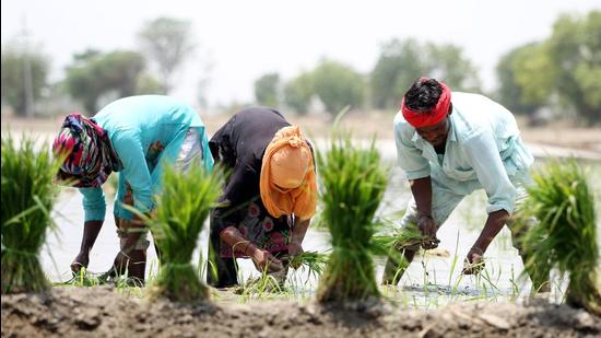 10 days after farm loan waiver event, 17,000 in Moga yet to get cheques ...