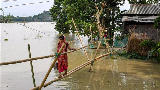 Central team to assess flood damages in Bihar, state seeks adequate ...