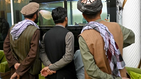 Greenhouse yard, swimming pool: Inside Afghan warlord Dostum's palace ...