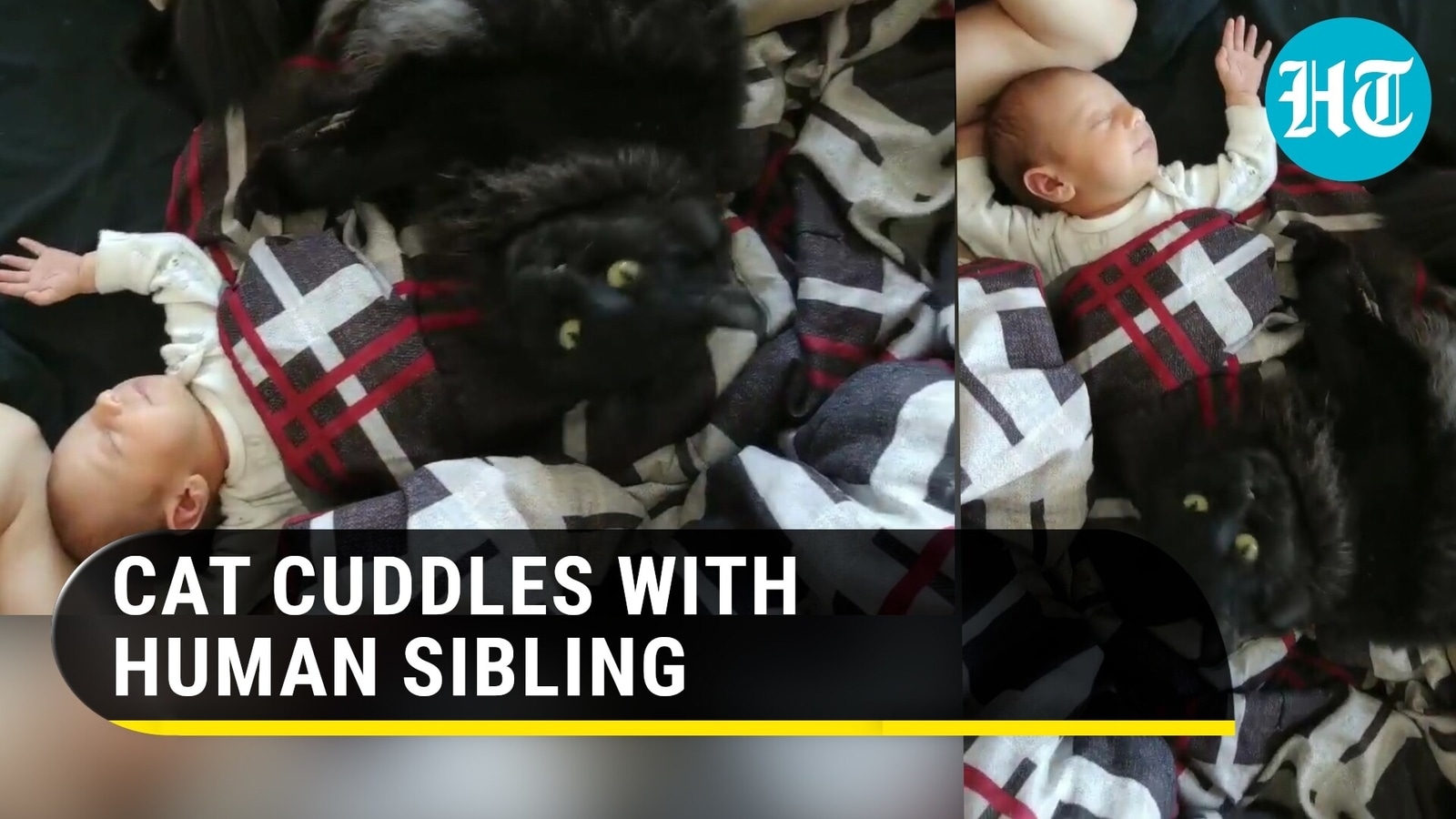 Cat cuddles with human sibling in sweet video | Hindustan Times