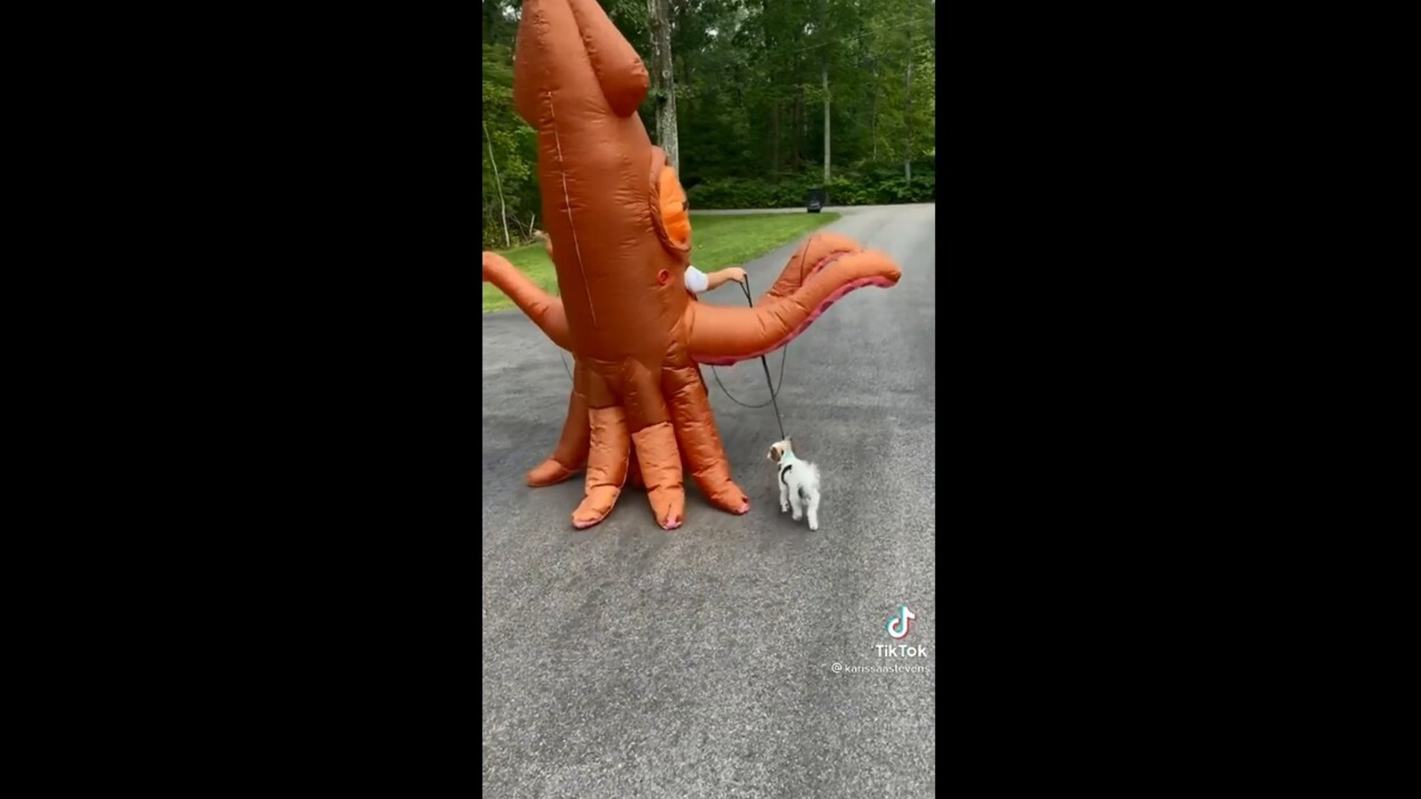 Ever seen a ‘squid’ take a dog for a walk. Watch hilarious video | Trending