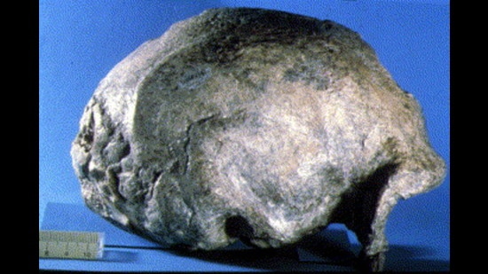 Earth’s been through a lot in its 4.54 billion years. Take a (very ...