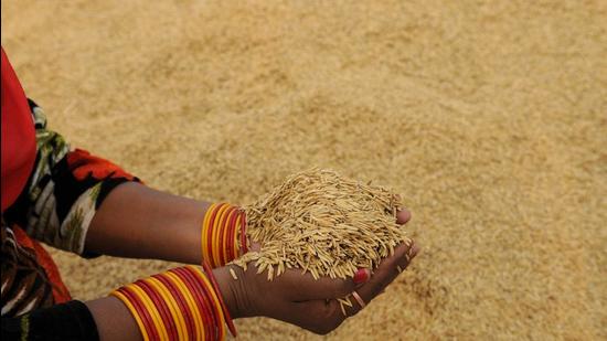 Food exports rise 21.8% in April-August: Data | Latest News India