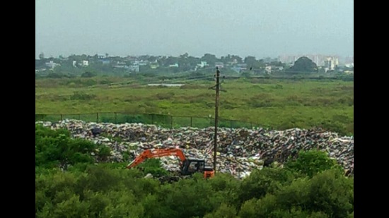 Under fire for dumping in mangroves, Uran Municipal Council to get own ...