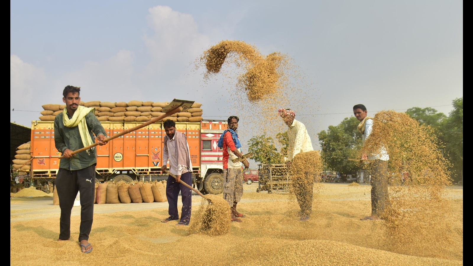 Paddy starts arriving in Punjab mandis, farmers sell below MSP amid ...