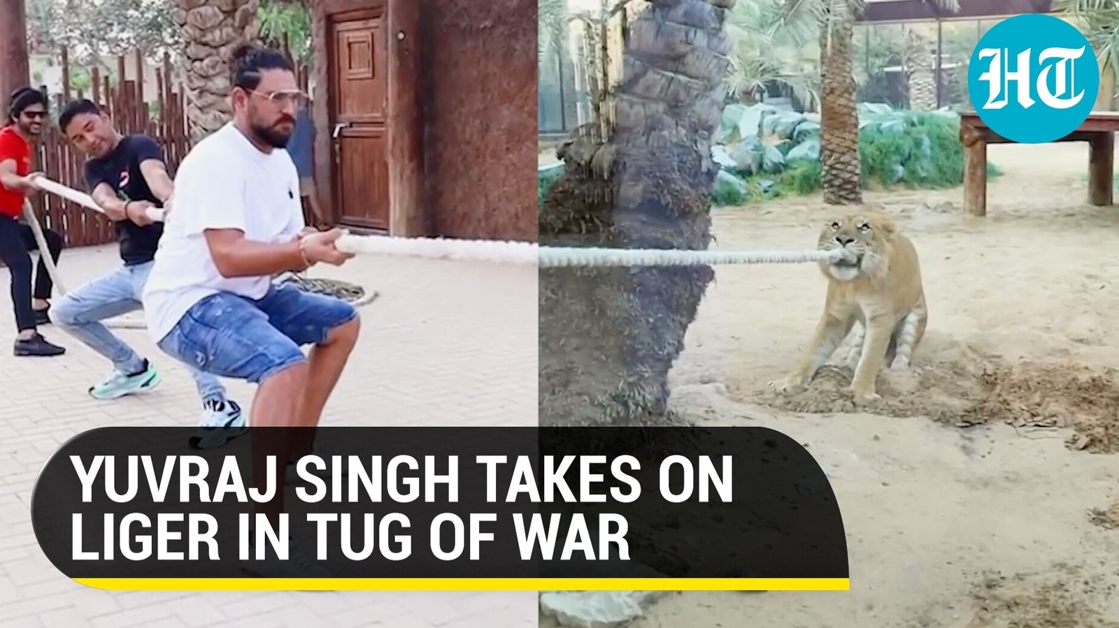 Yuvraj Singh battles it out with Liger, puts huge snake on neck at ...
