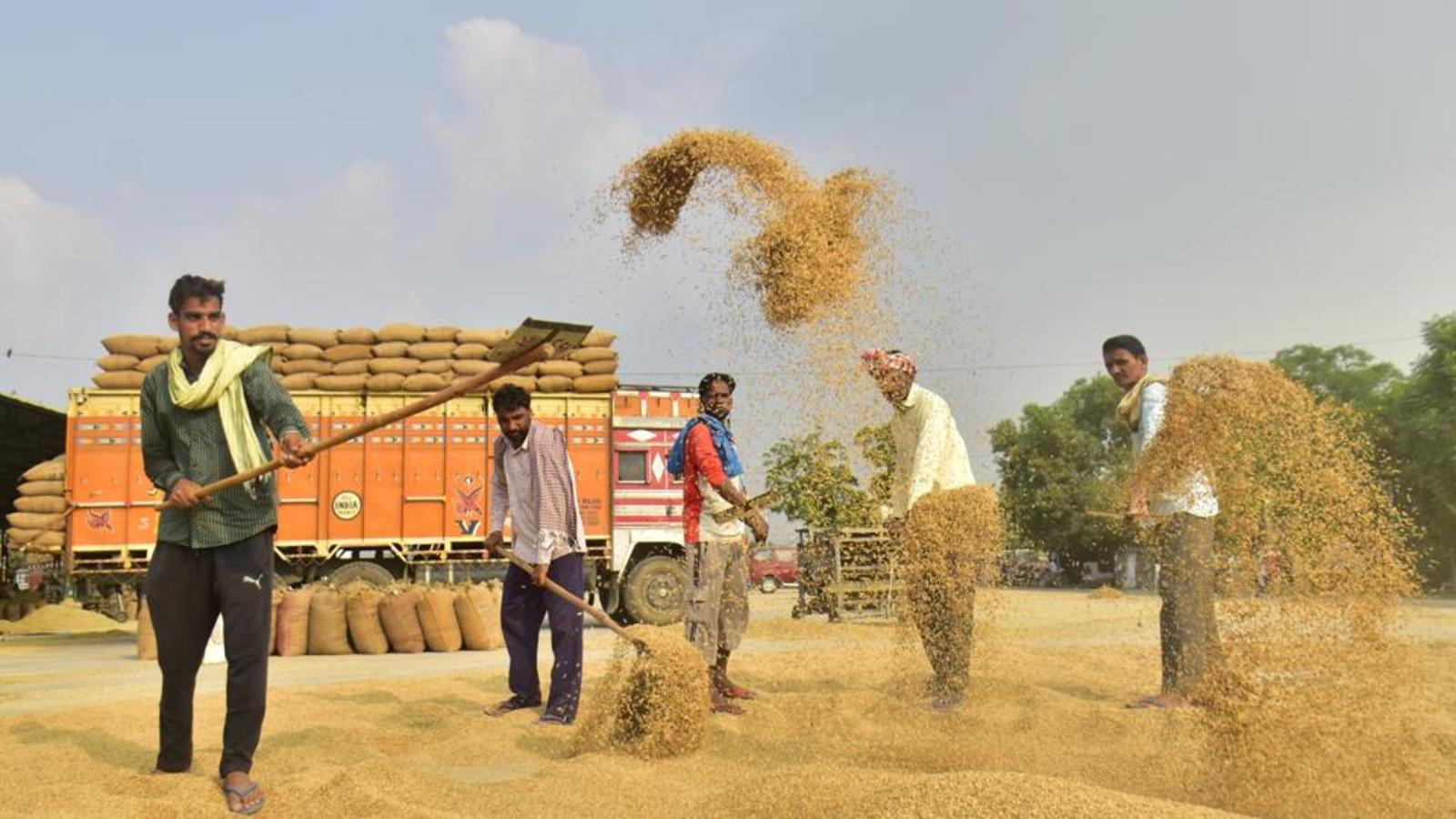 Punjab paddy procurement: ₹16.5 cr credited directly into farmers ...