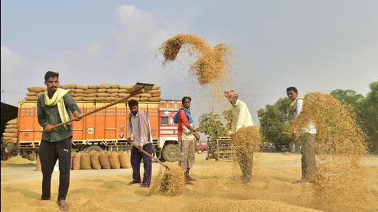 Punjab paddy procurement: ₹16.5 cr credited directly into farmers ...