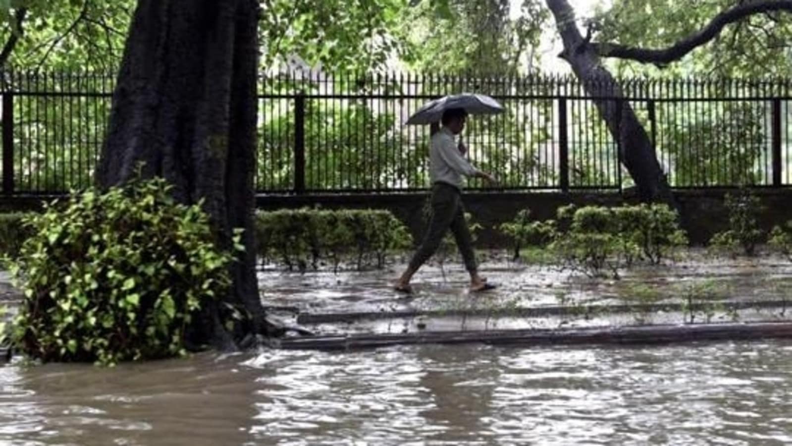 Rainfall in parts of Uttar Pradesh's Noida brings down temperature ...