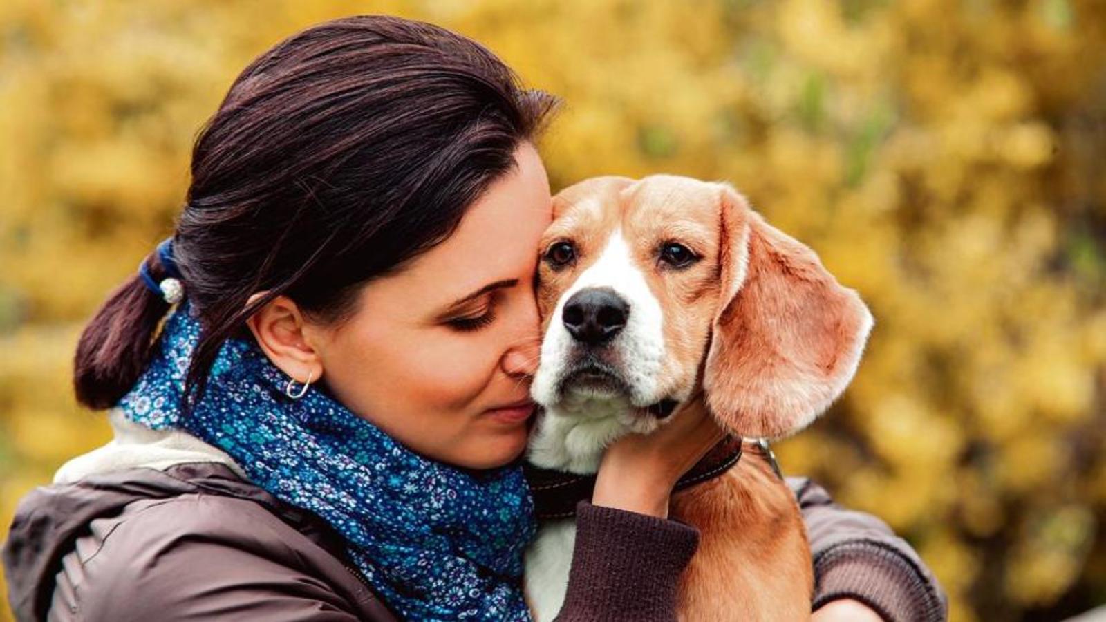 How To Help Anxiety In Dogs Who Are Left Alone