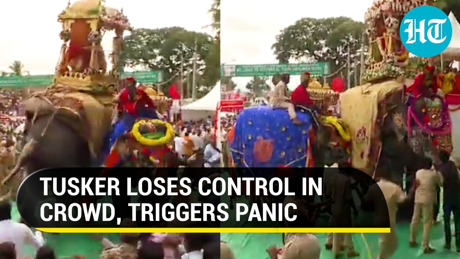 Watch: Chaos after elephant loses control, chases people at Karnataka ...