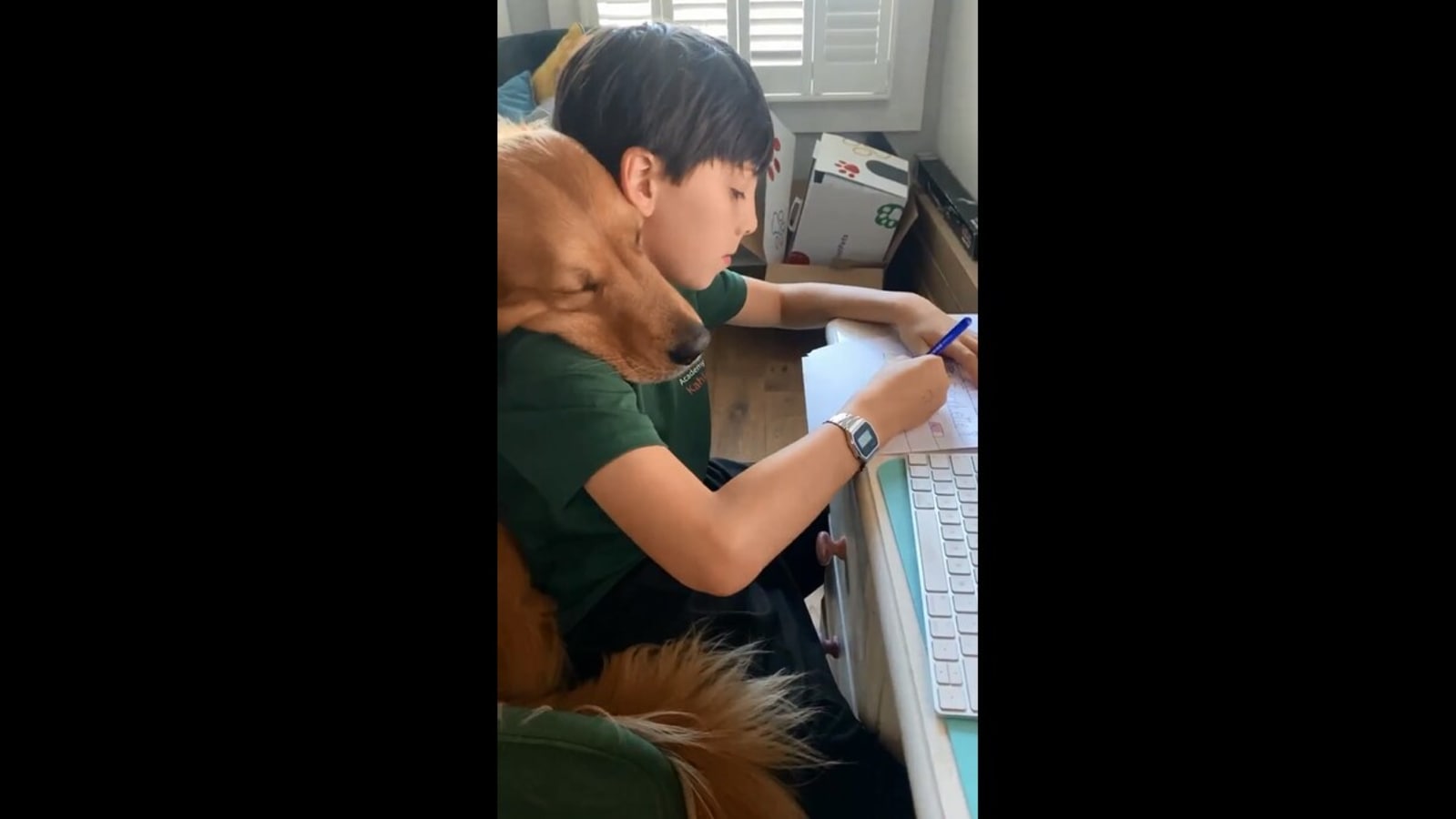 Dog ‘decides’ to help kid with his homework. Hilariously cute video ...