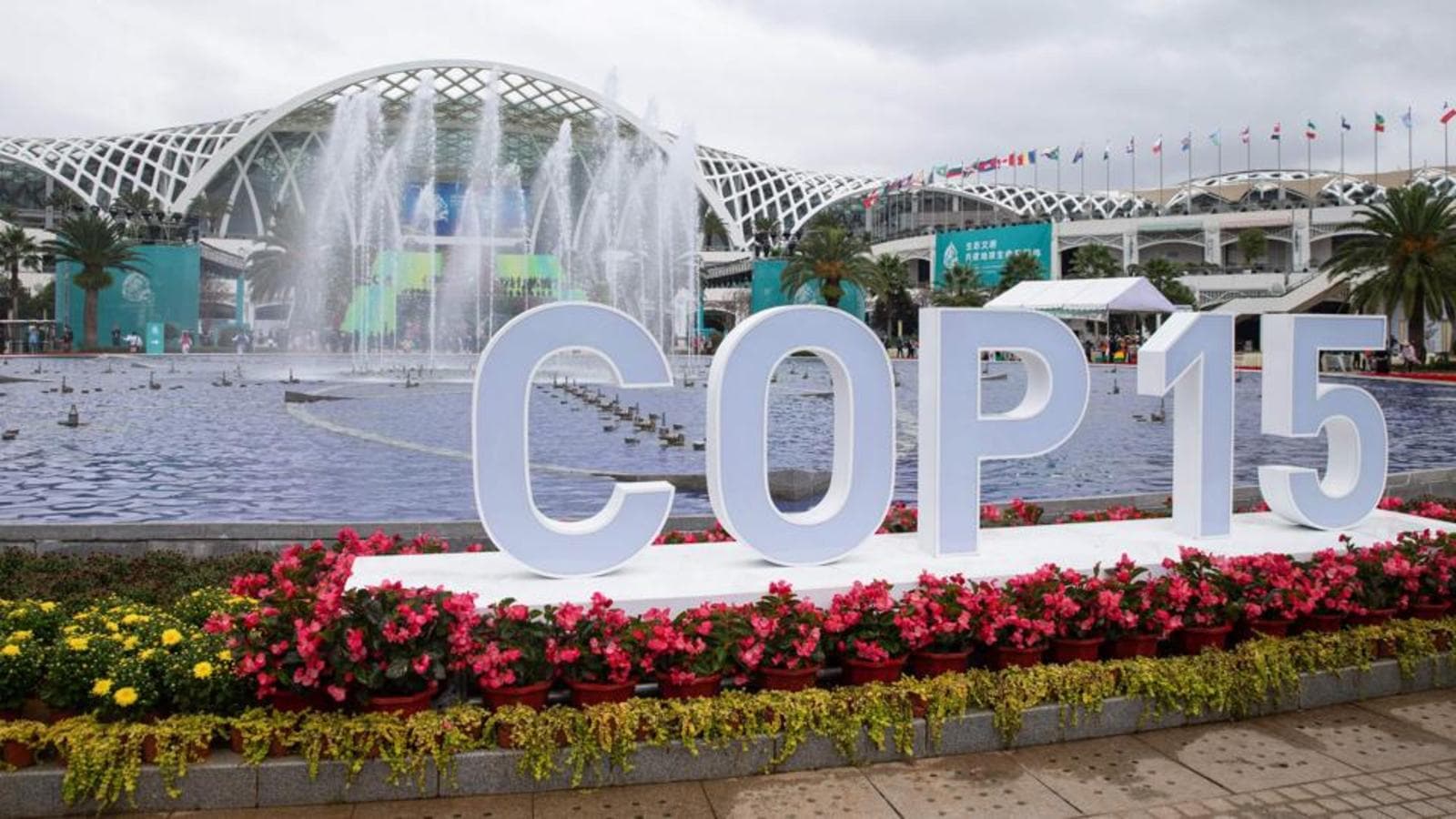 COP15: Xi Jinping announces $233 million biodiversity protection fund ...