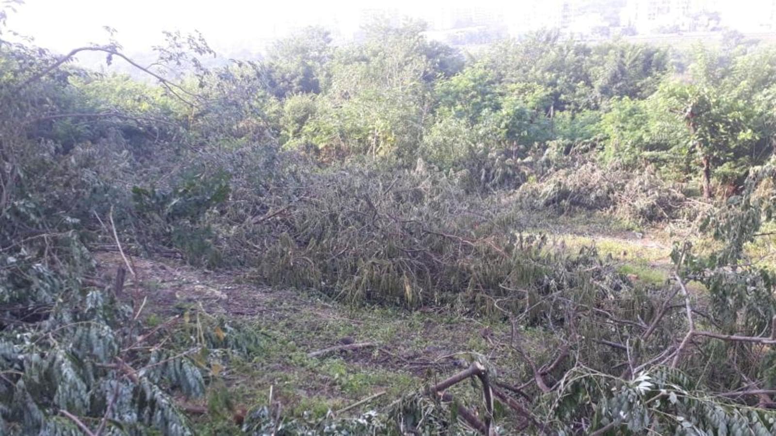 Residents oppose clearing of forest land at Warje Malwadi | Hindustan Times