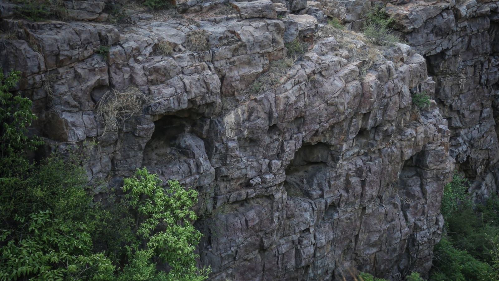 4-year-old survives fall off cliff while hiking with parents, lands 70 ...