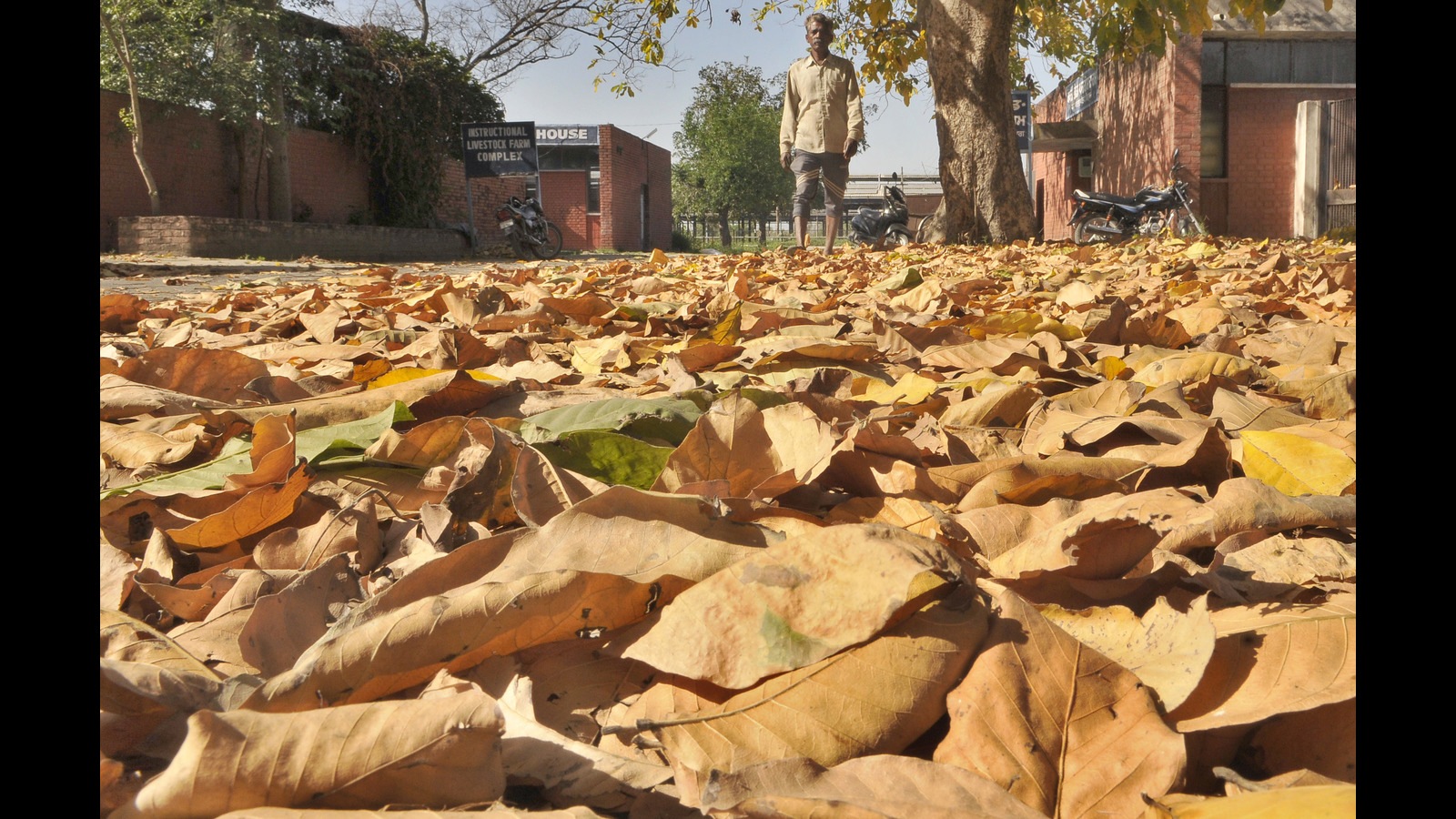 PAU: Three month training for farm workers concludes | Hindustan Times