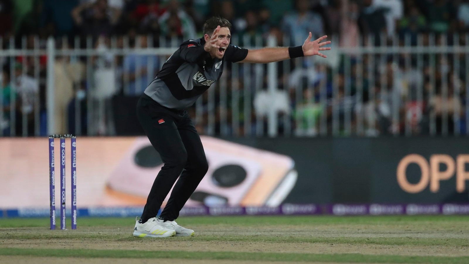 'India have shown that they are a quality side for many years': Tim ...