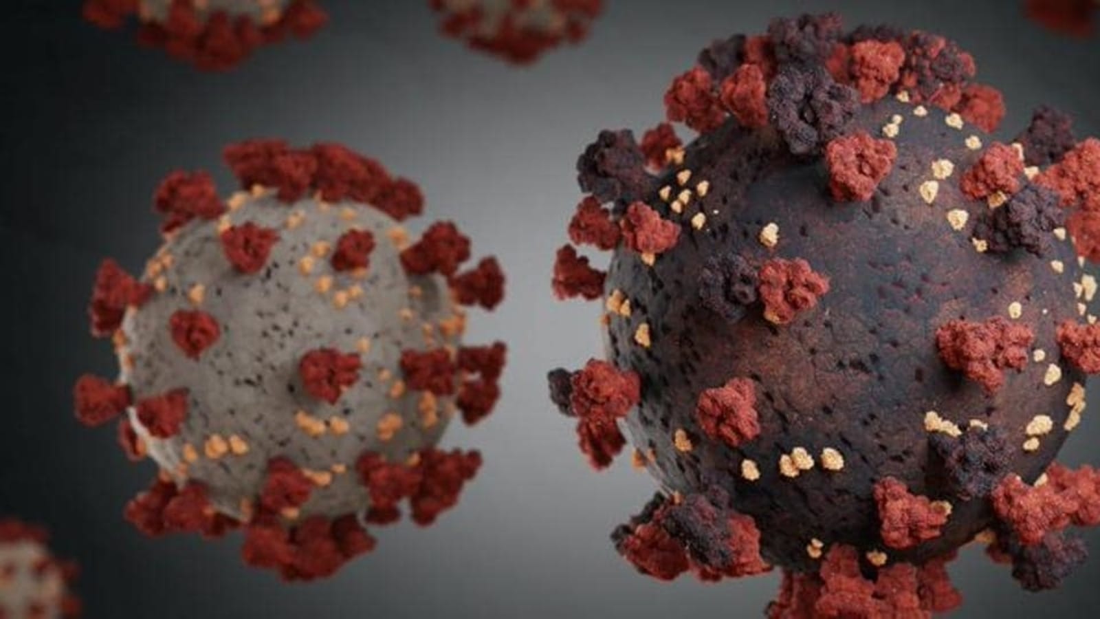 Scientists find new compound that can potentially ease COVID-19 ...