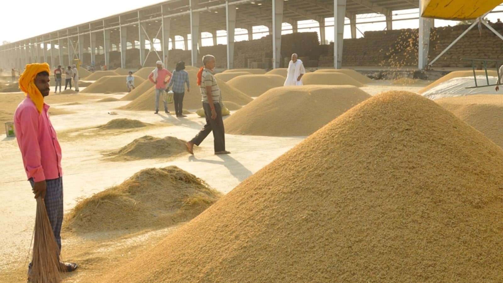 Newly harvested crops selling below MSPs despite price rise | Latest ...