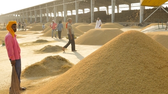 Newly harvested crops selling below MSPs despite price rise | Latest ...