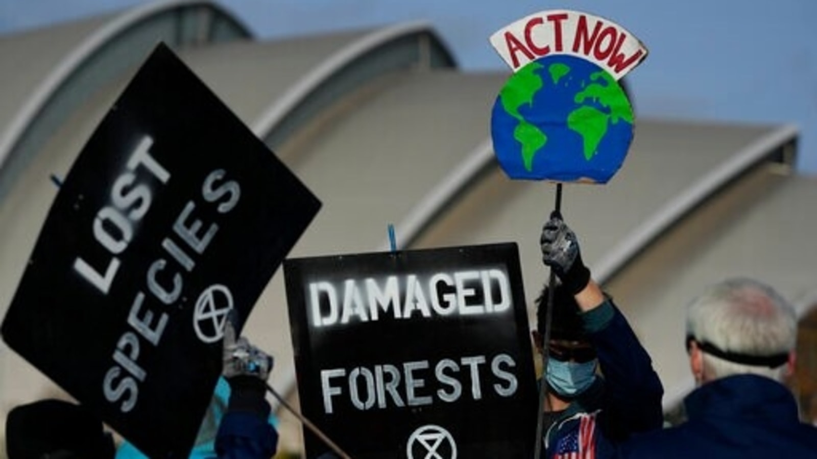 Lost blue iris key - lopteku