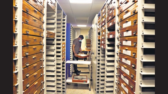 Crawl of the wild: Inside the National Insect Museum in Bengaluru ...