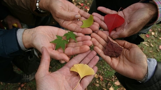 What is International Day for Tolerance and why is it observed? | World ...