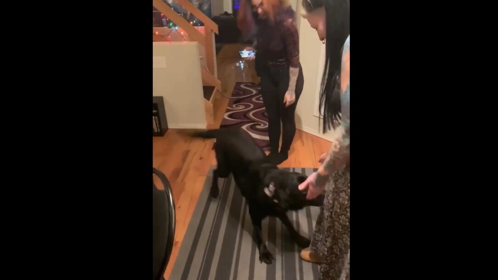 Pet dog gets super excited for surprise 10th birthday party. Watch cute ...